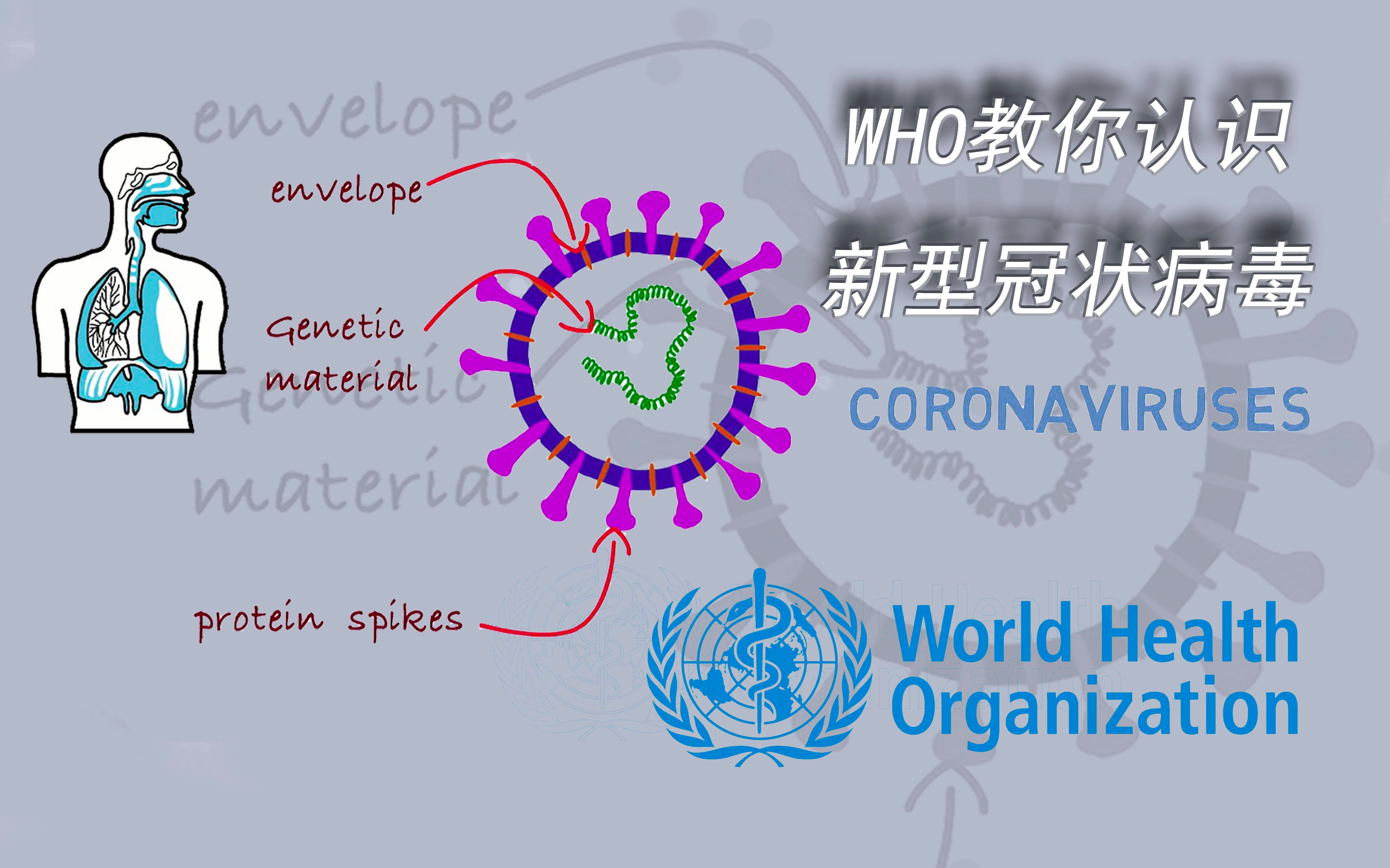 [双语字幕]WHO教你快速认识新型冠状病毒