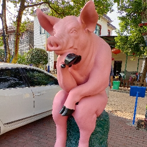 爱上大铜陵 