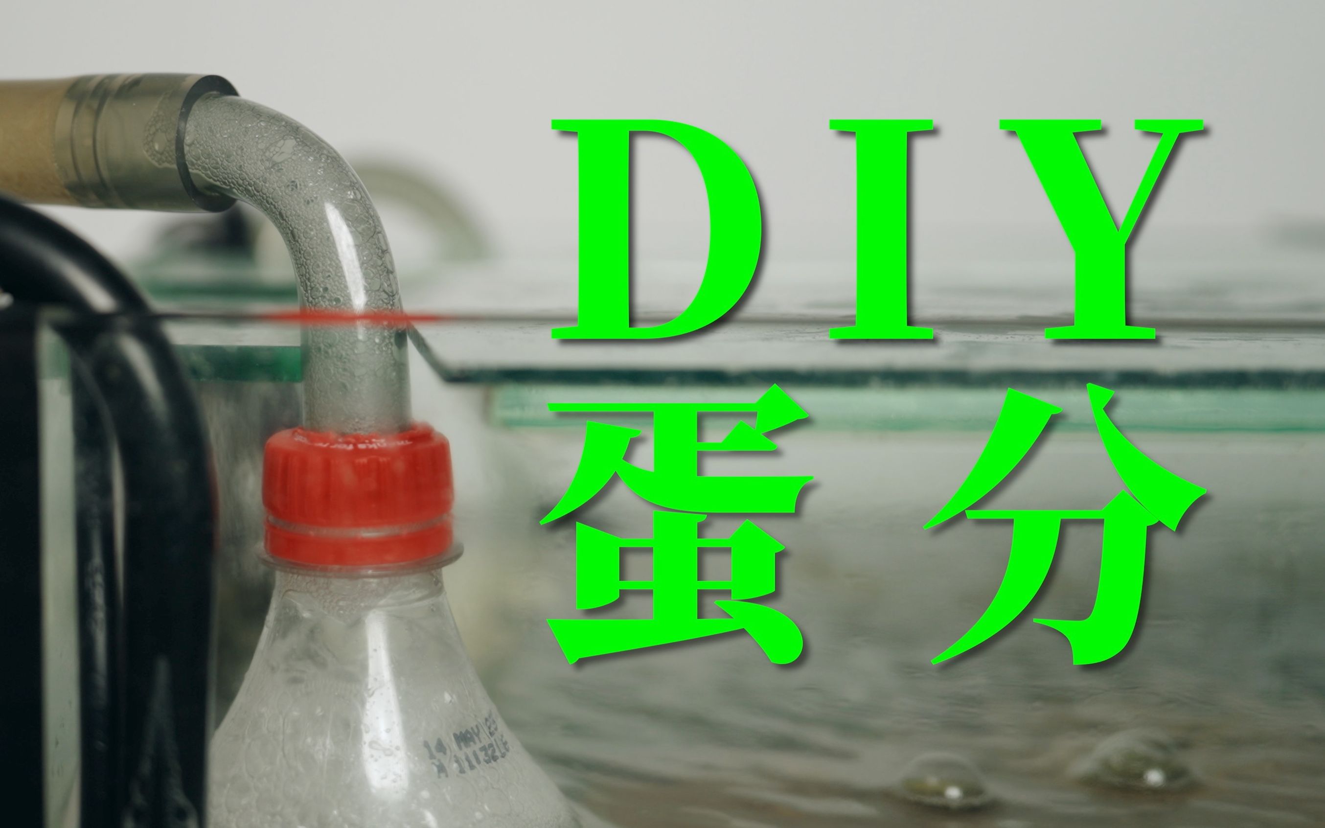 DIY海水缸蛋白分离器制作过程:使用一段时间后的效果与效率对比!