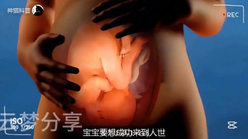 你知道婴儿究竟是如何被生出来的吗?一分钟知晓,人体奥秘(4