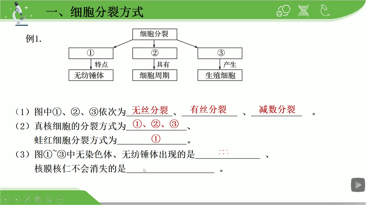 高中生物必修一合集