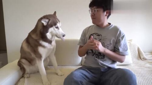 被狗咬后我没打它,反而奖励它!结果让人意想不到