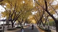 江苏省扬州市江都区引江水利枢纽工程里面的“黄金大道”