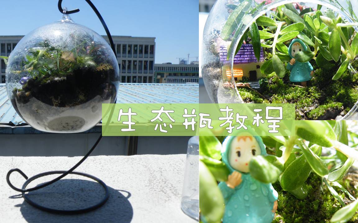 【可爱生态瓶制作】简单易学手工生态瓶制作,心意手工礼物的不二之选