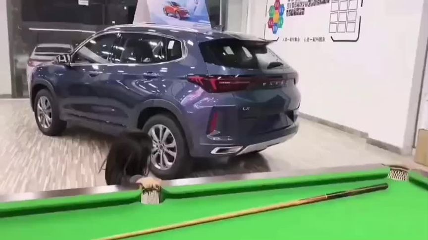 感应电动尾门,给你想要的威武霸气