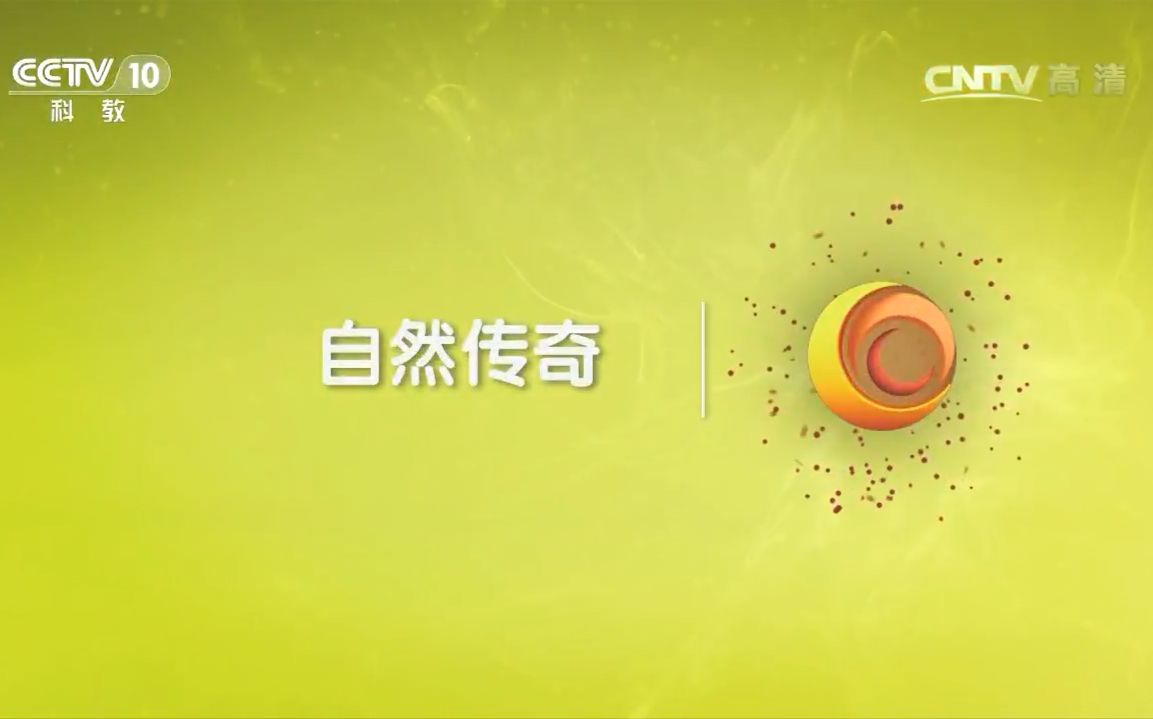 【CCTV】自然传奇 怒吼的狮群