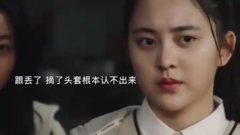 这比喻简直神了!怎么能想到这么绝妙的说法
