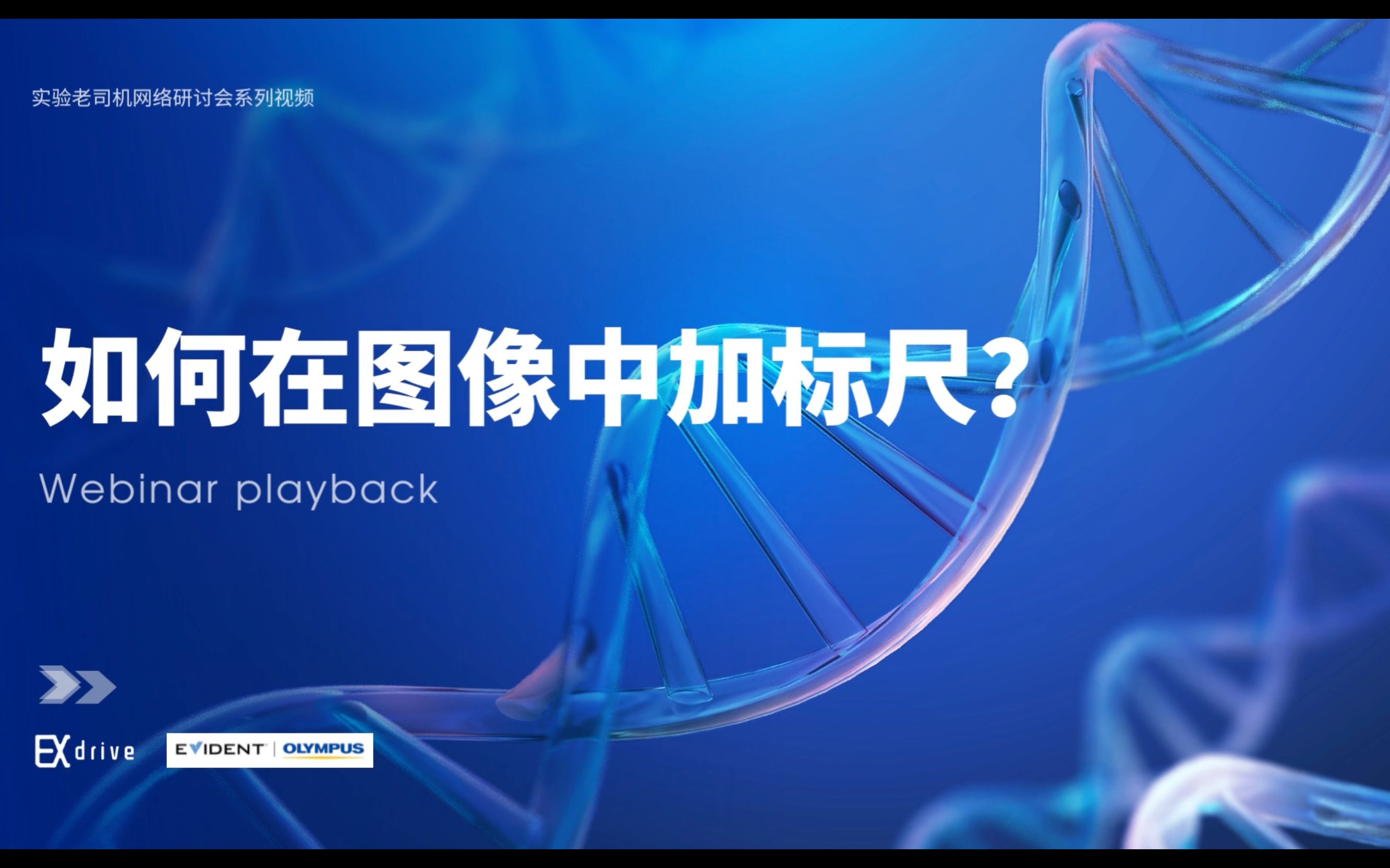 如何在图像中加标尺?