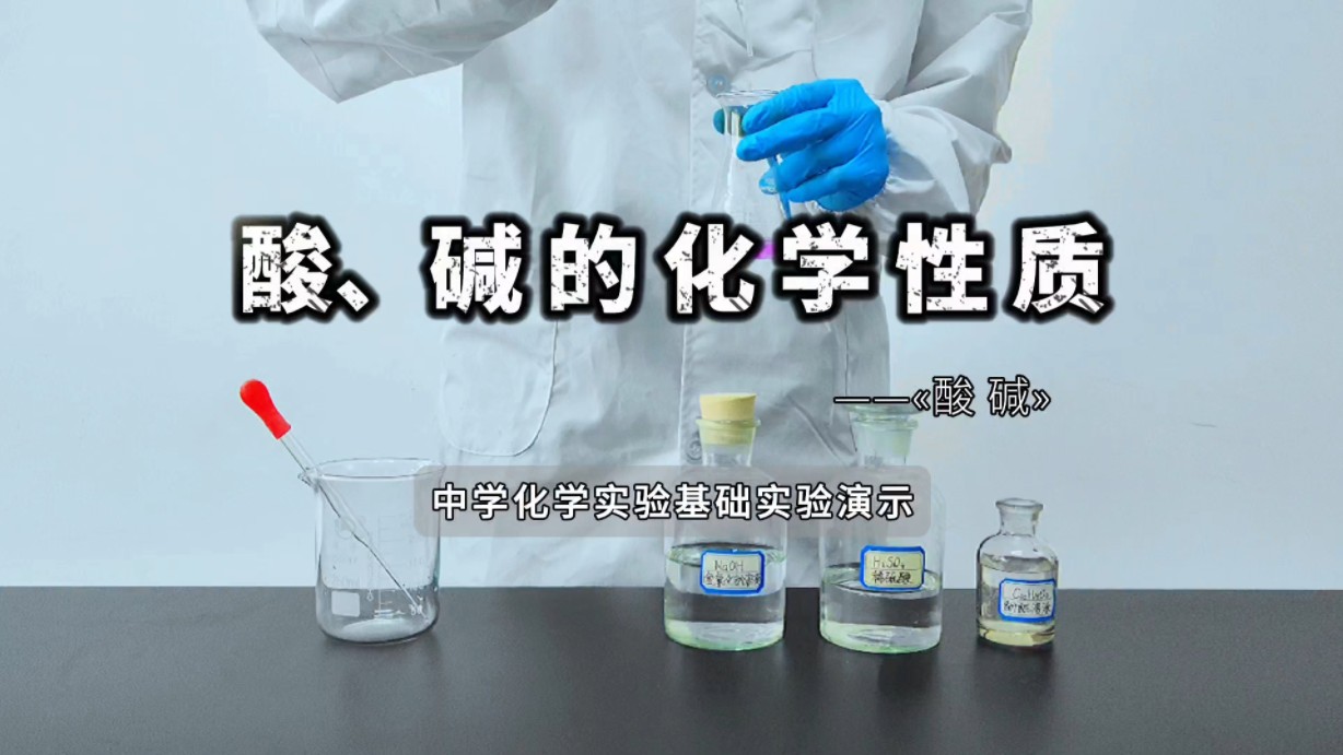 【中学化学实验基础实验】酸、碱的化学性质
