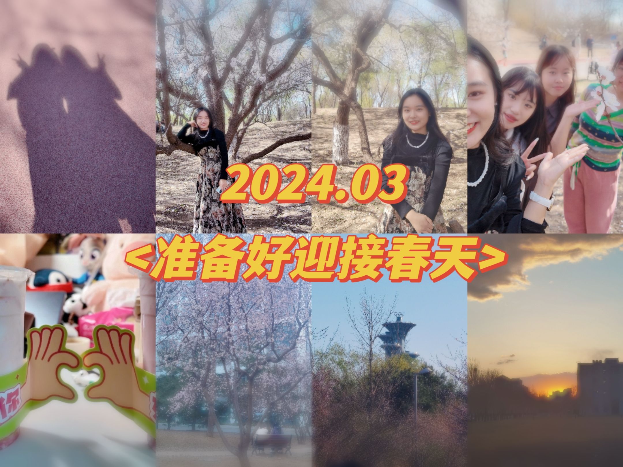 日常vlog|和室友们一起在北京看花追着春天