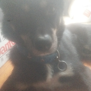 B站小翔的视频空间 