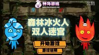 冰火人and其他双人小游戏【艾米表示真怀念!】