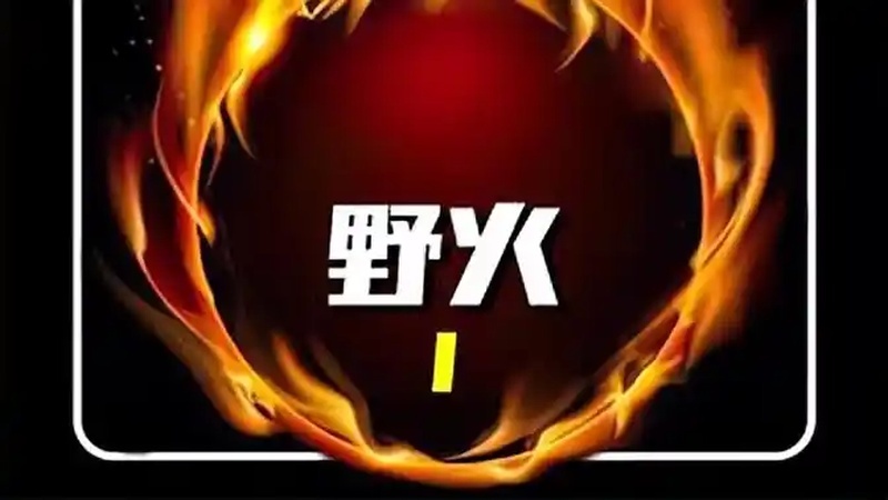 二战极惨战役:50万鬼子森林困兽斗 战争电影