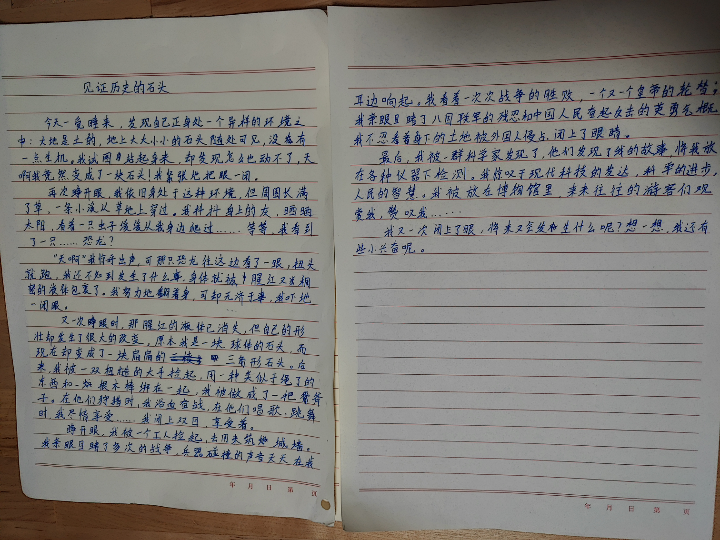 小学 六年级 作文 变形记 见证历史的石头