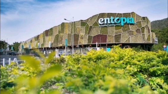 ...马来西亚“虫鸣大地”!它是亚洲最好的蝴蝶和昆虫展示园,也是一所...