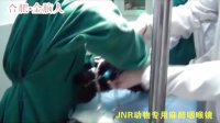 JNR动物专用 麻醉咽喉镜 气管插管教学片