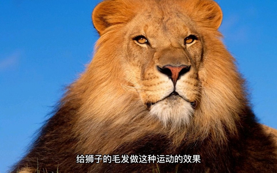 ae教程,让静止图片动起来