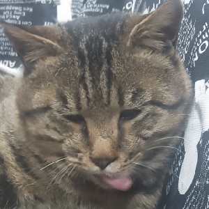 刹那的烟火Fireworks 