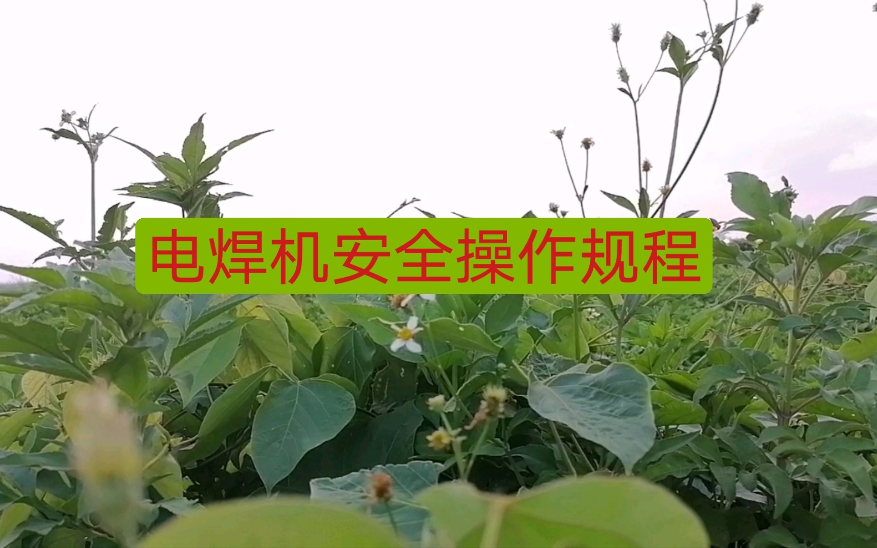 电焊机安全操作规程
