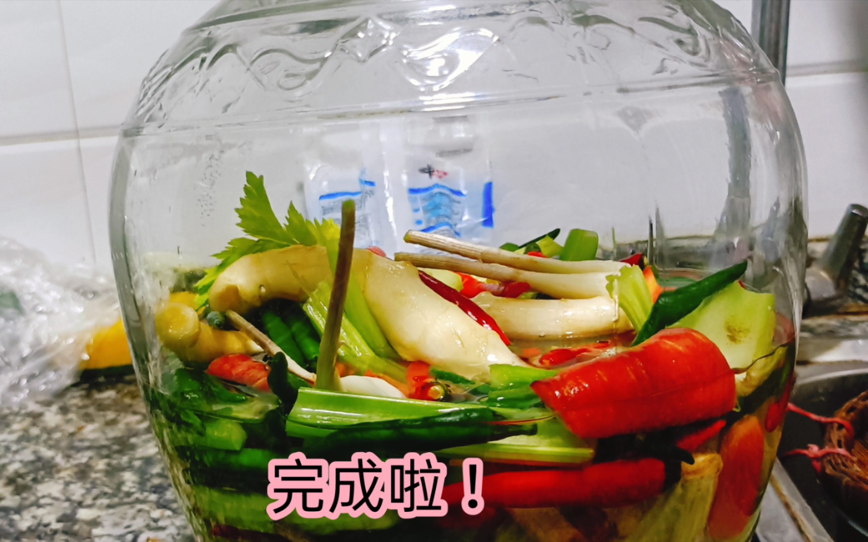 制作泡菜(生物作业)