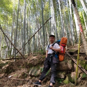 杨的日常生活 