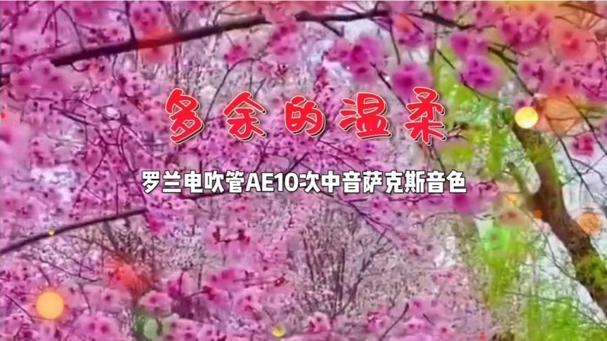 《多余的温柔》罗兰电吹管AE10次中音萨克斯音色