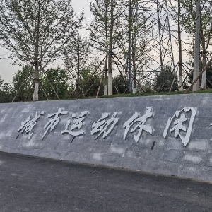 太极拳养生推手 