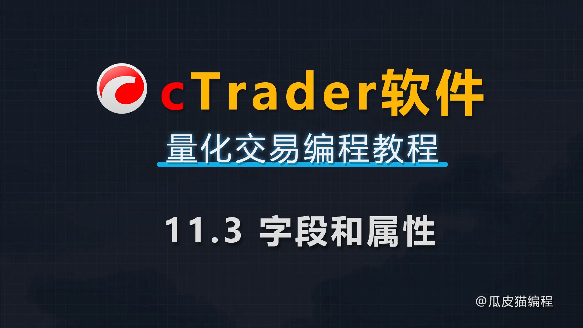 11.3 字段和属性-ctrader软件量化交易编程教程