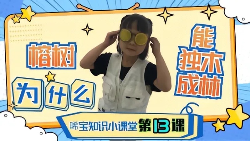 晞宝知识小课堂第 13课:榕树为什么能独木成林,小助手