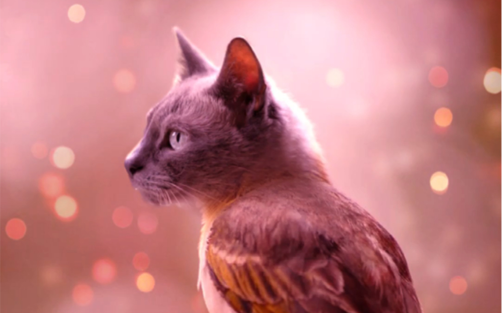 PS打造创意合成动物组合