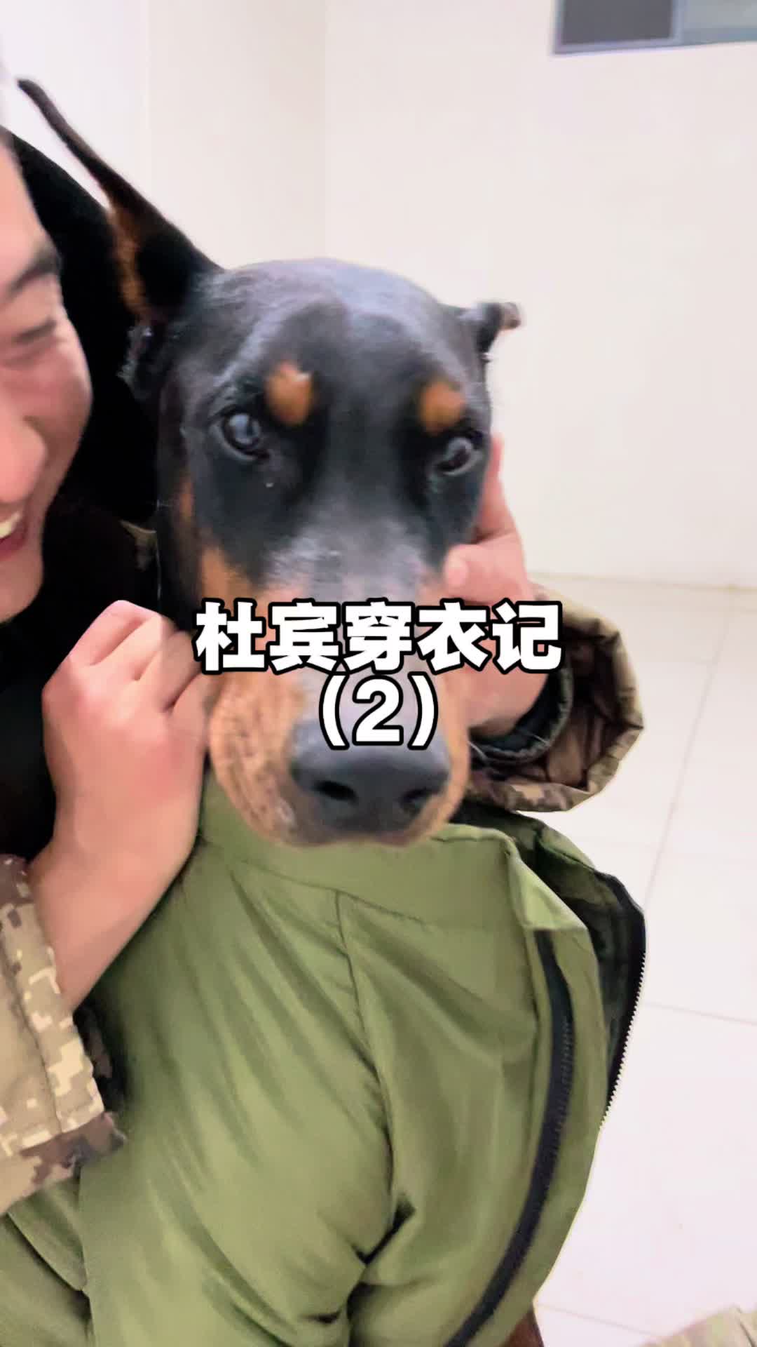#萌宠 #宠物狗狗 #搜救犬 #警犬