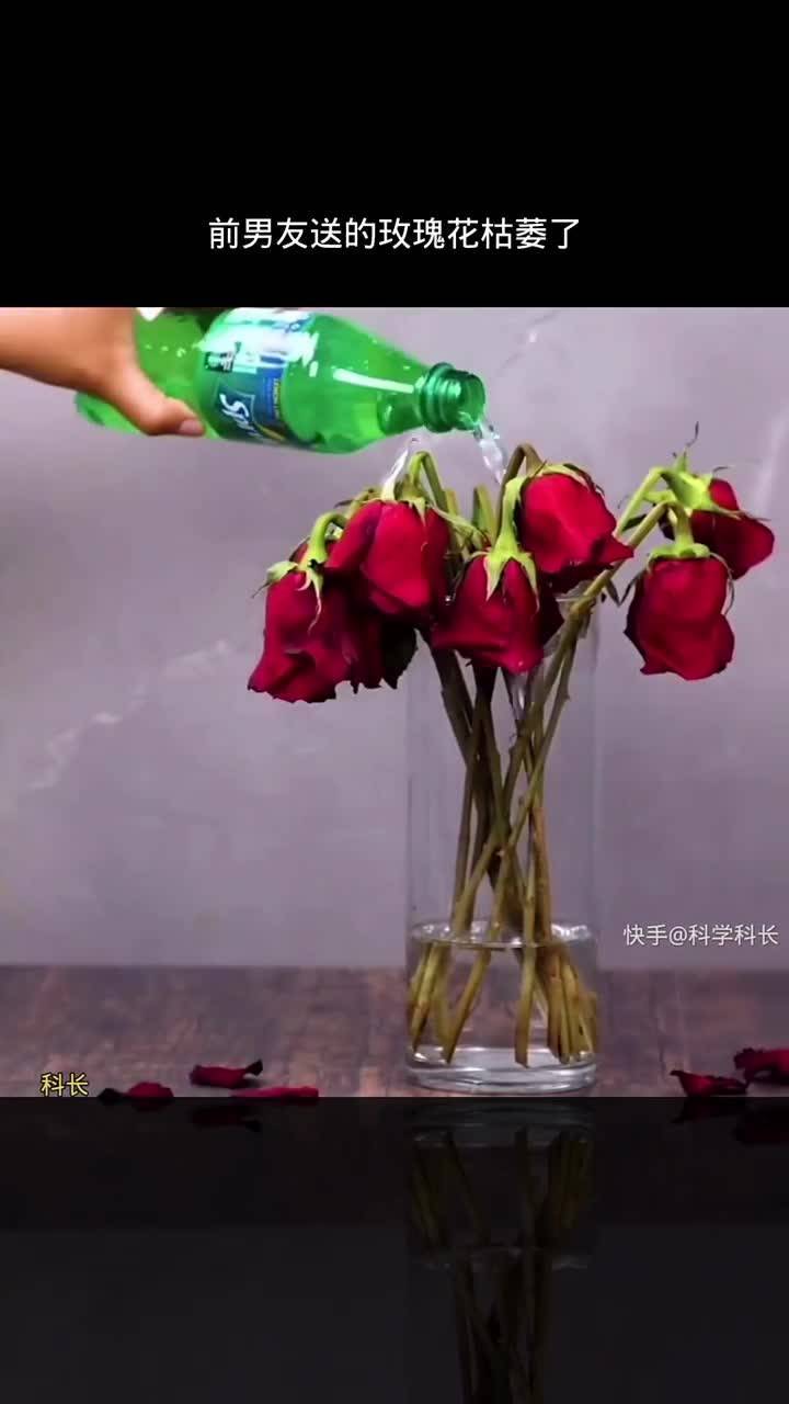 神奇实验室 带孩子玩转这几个科学小实验