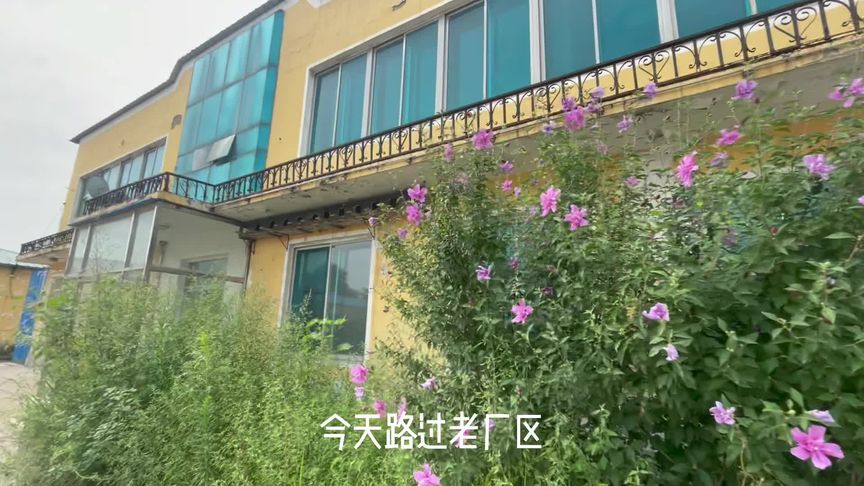 光明成长记 目光所及皆是回忆 #生产厂家 #沈阳pvc穿线管