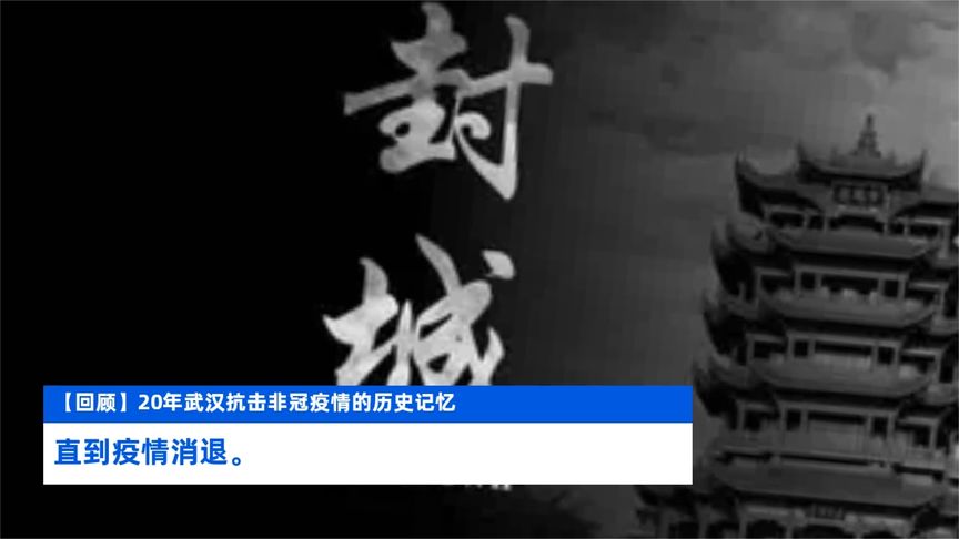 【回顾】20年武汉抗击非冠疫情的历史记忆