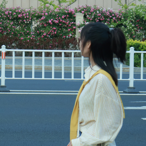 Cindy杨- 