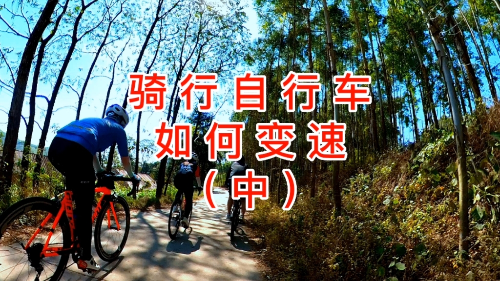 骑行自行车如何变速(中)。