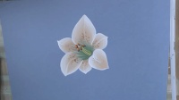 一笔画教程, 用刷笔简单几笔画出一朵茉莉花