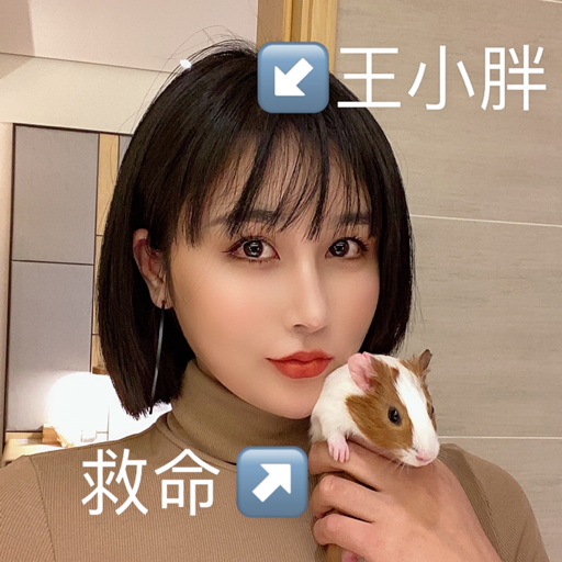 救命呀王小胖 
