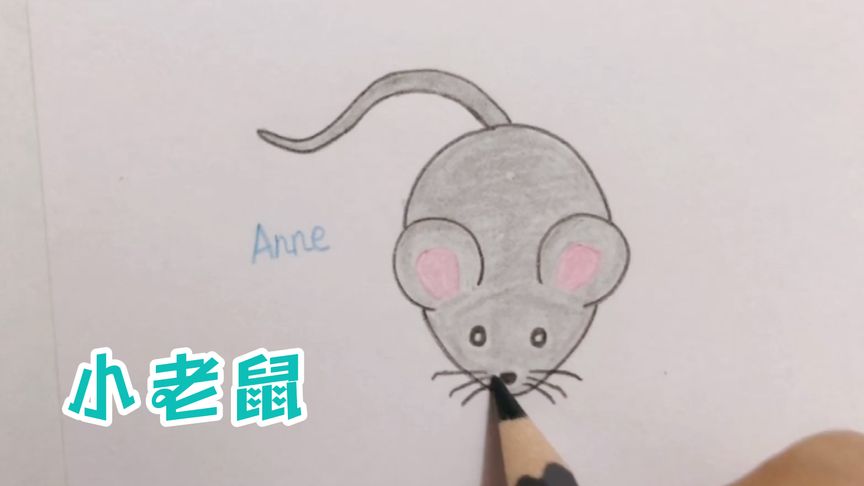 简笔画小老鼠 卡通动物画画入门教程 简单易学