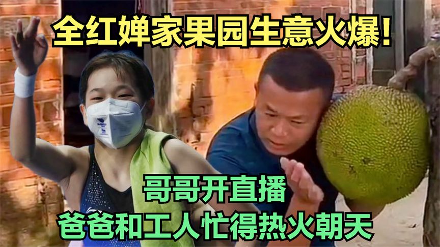 全红婵家果园生意火爆!哥哥开直播,爸爸和工人忙得热火朝天