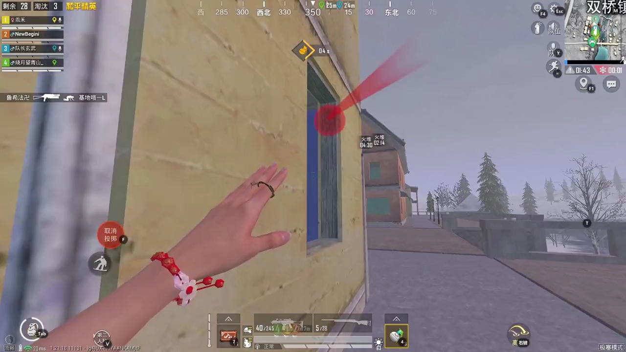 模拟器玩家玄武_和平精英