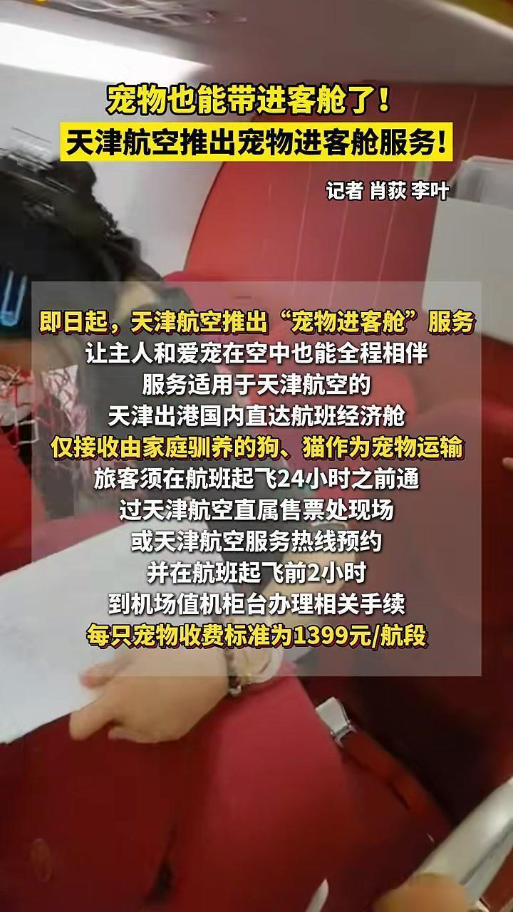 #宠物也能带进客舱了!#天津航空推出宠物进客舱服务!#天津#本地新闻
