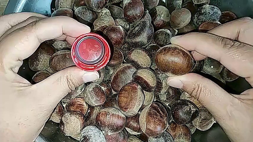 板栗剥皮原来这么简单,只需一个瓶盖就搞定,一秒一个,真厉害