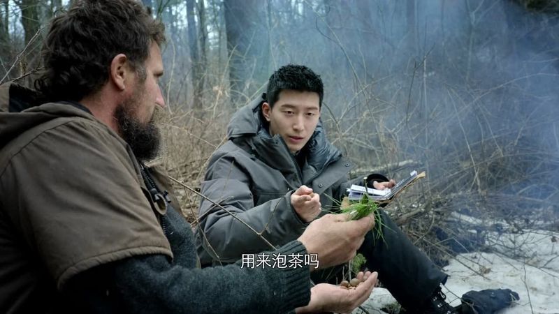 长白山秘制烟熏松针茶窦骁:干净又卫生干了啊兄弟们
