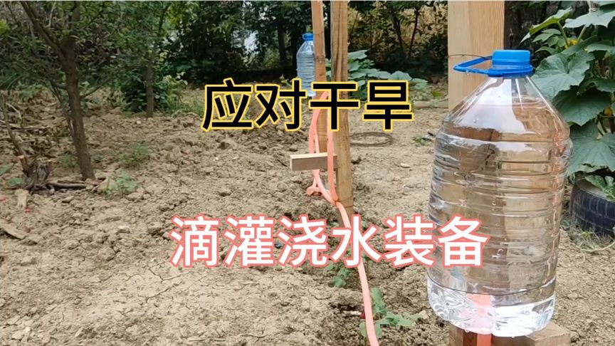 应对干旱天气的滴灌浇水系统,不用花钱,在家简单制作!太棒了