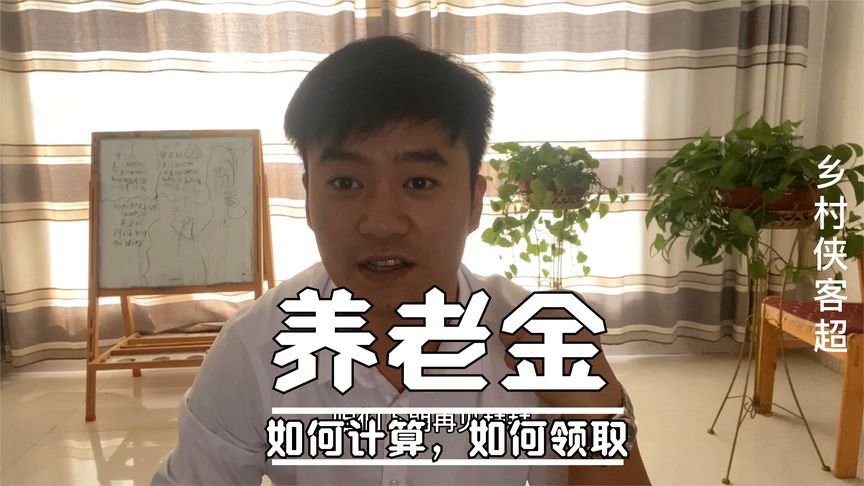 养老金为啥要除以195?如何计算?别傻傻地少领钱