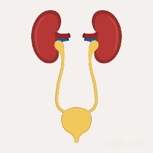 人体下水道砖家 