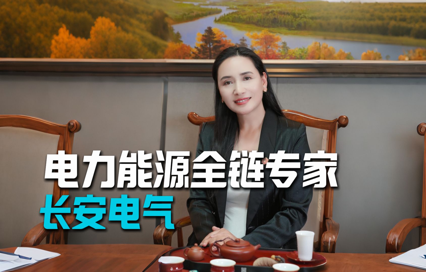 电力能源全链专家——对话长安电气董事长、西安女企业家协会会长周...