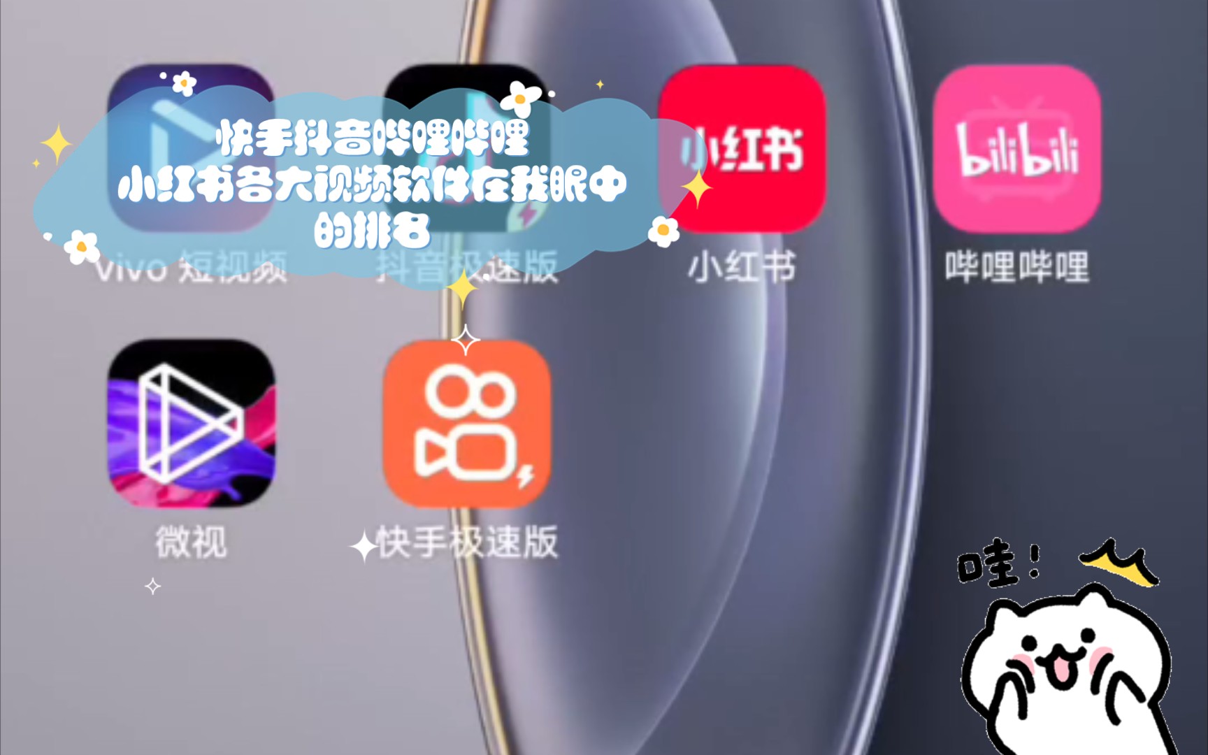 不可思议!快手抖音哔哩哔哩小红书各大视频软件在我眼中的排名