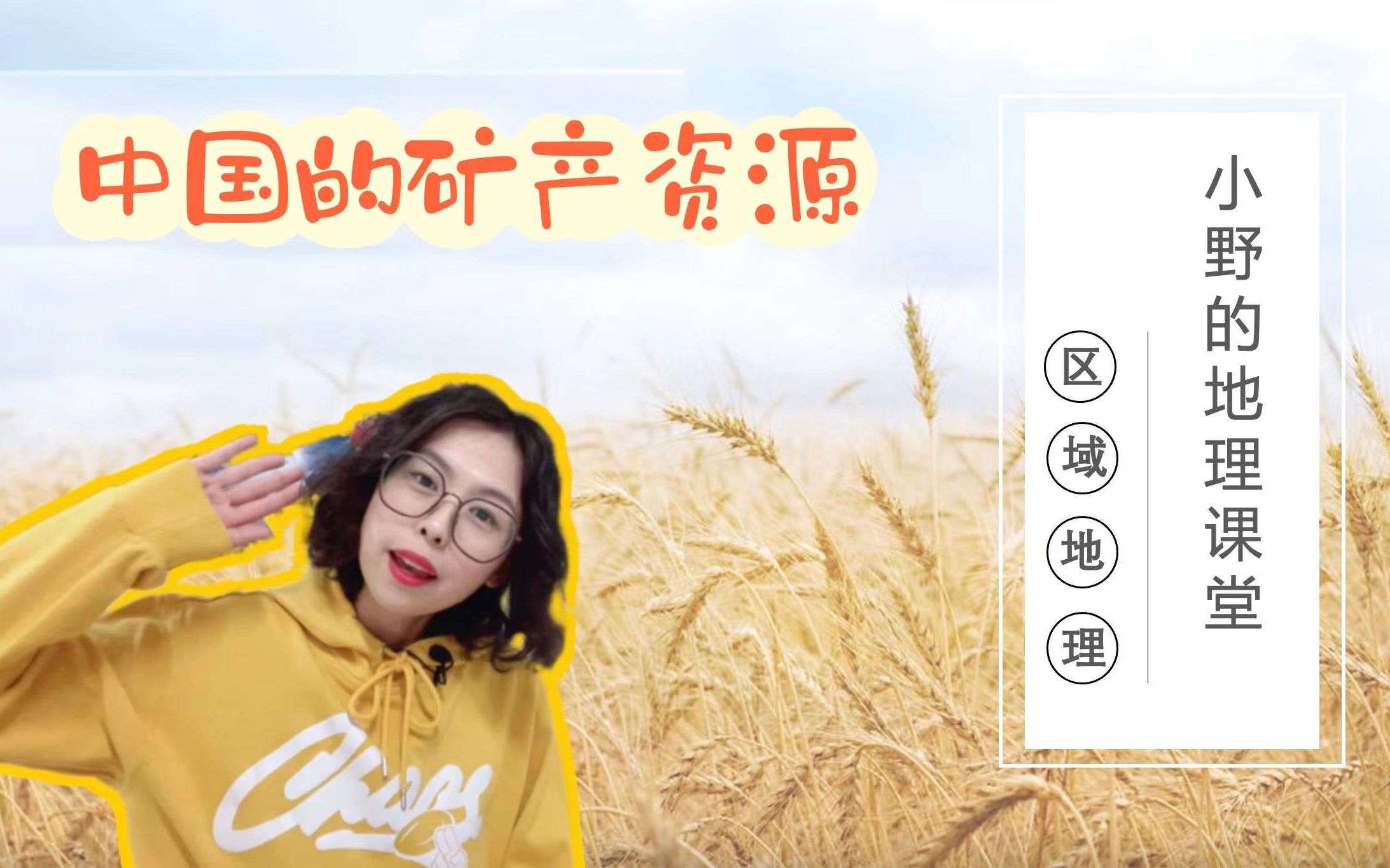 【中国的自然资源4】我国的矿产资源(适合基础薄弱的高考地理考生)